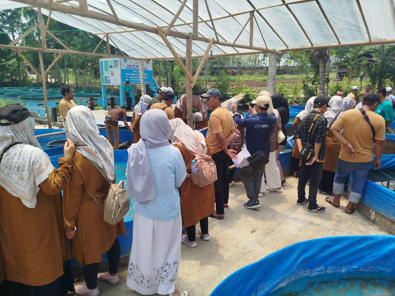 Pemdes Bunderan Sidayu Lakukan Pelatihan Budidaya Ikan Lele Dengan ...